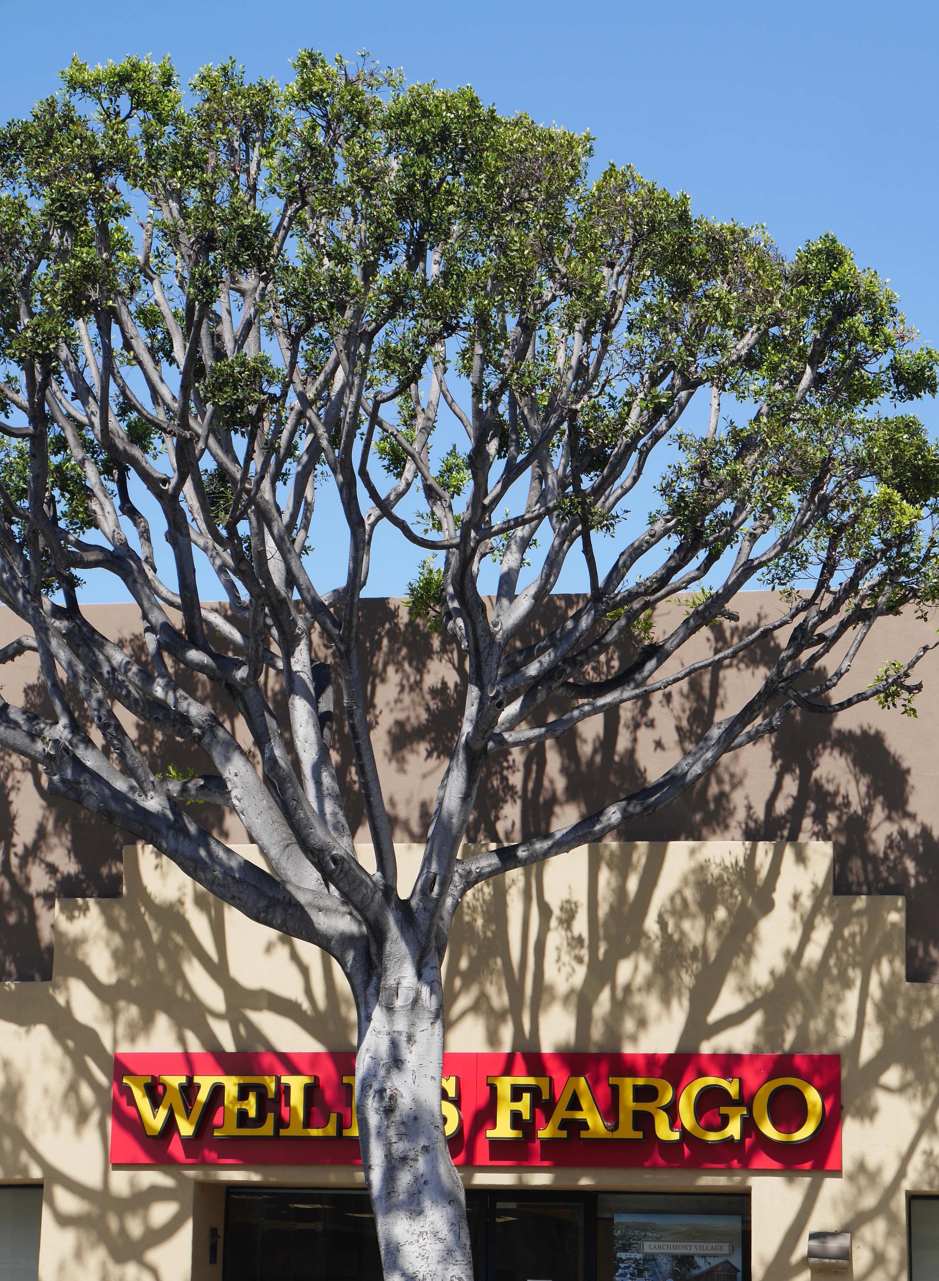 The unutterable glamour of flying. – Paul Davies Cartoons & stuff