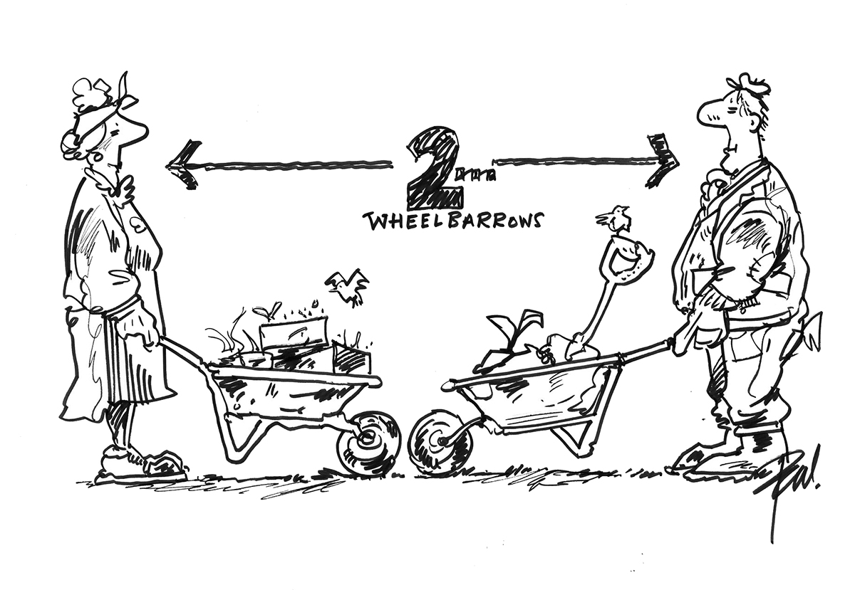 Two wheelbarrows – Paul Davies Cartoons & stuff