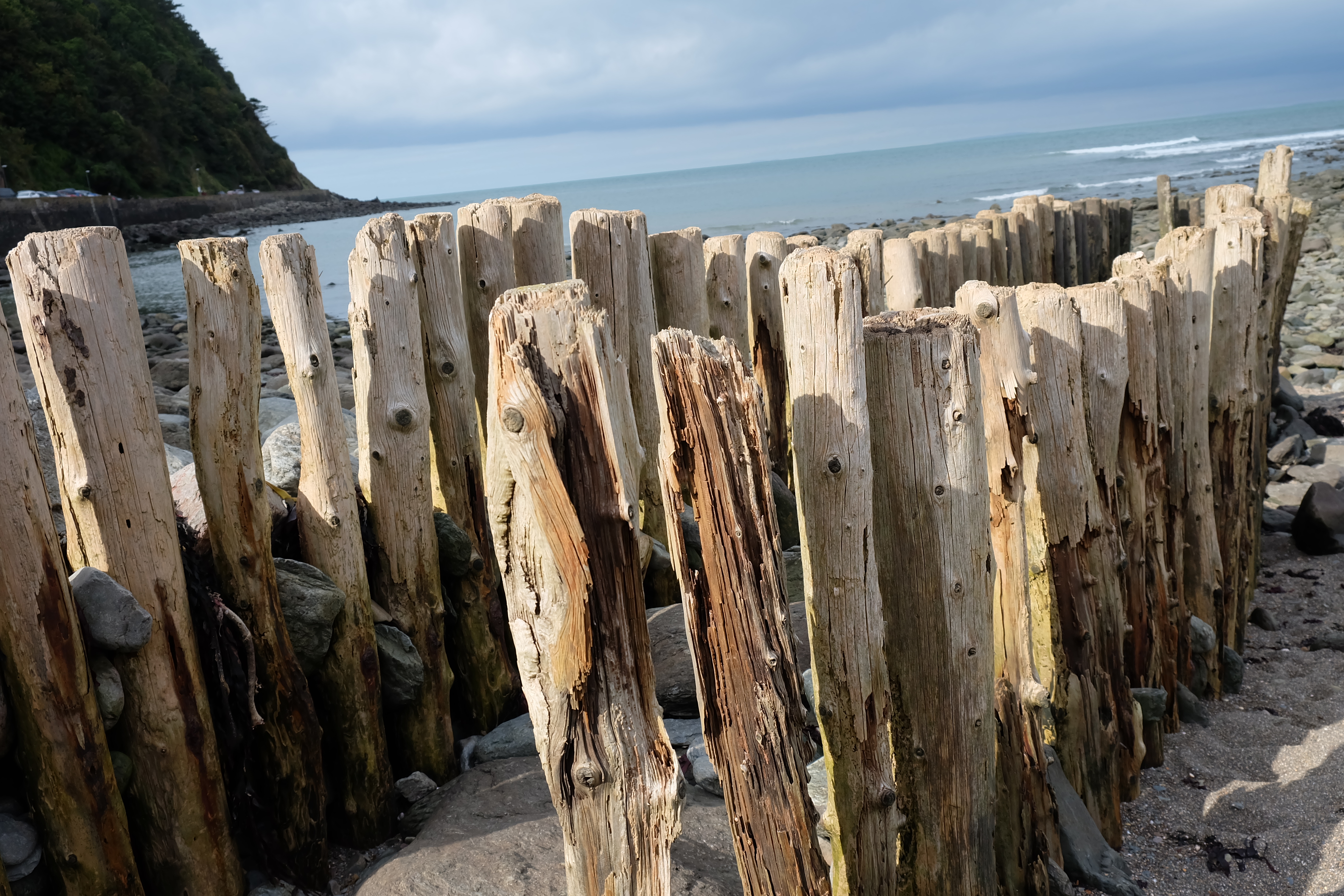 Sunny Groynes – Paul Davies Cartoons & stuff