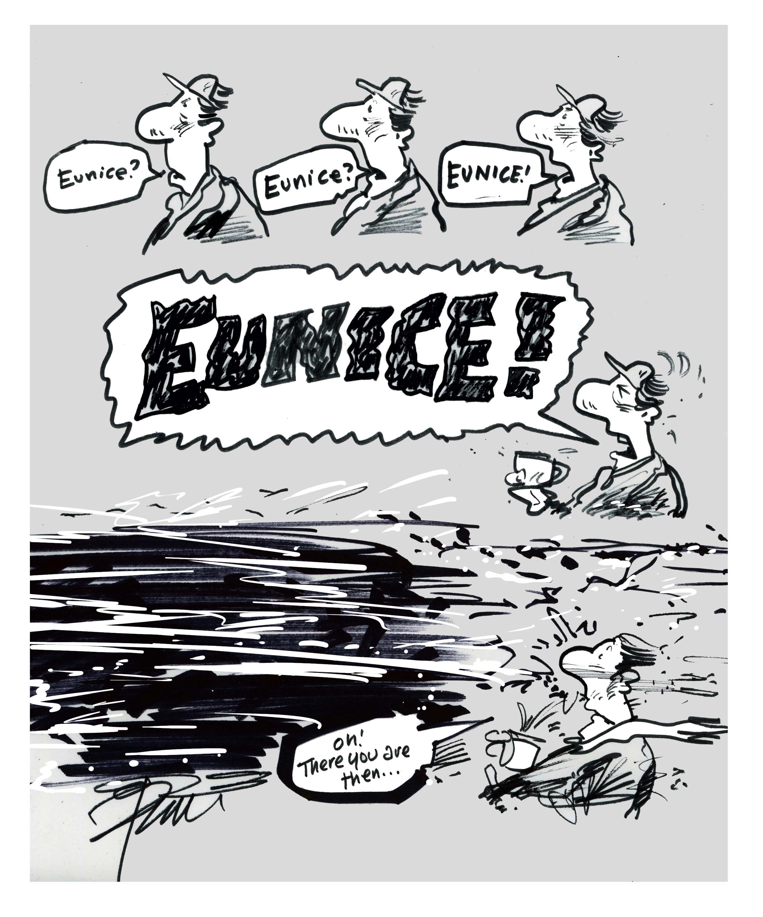 Eunice? Is that you? – Paul Davies Cartoons & stuff