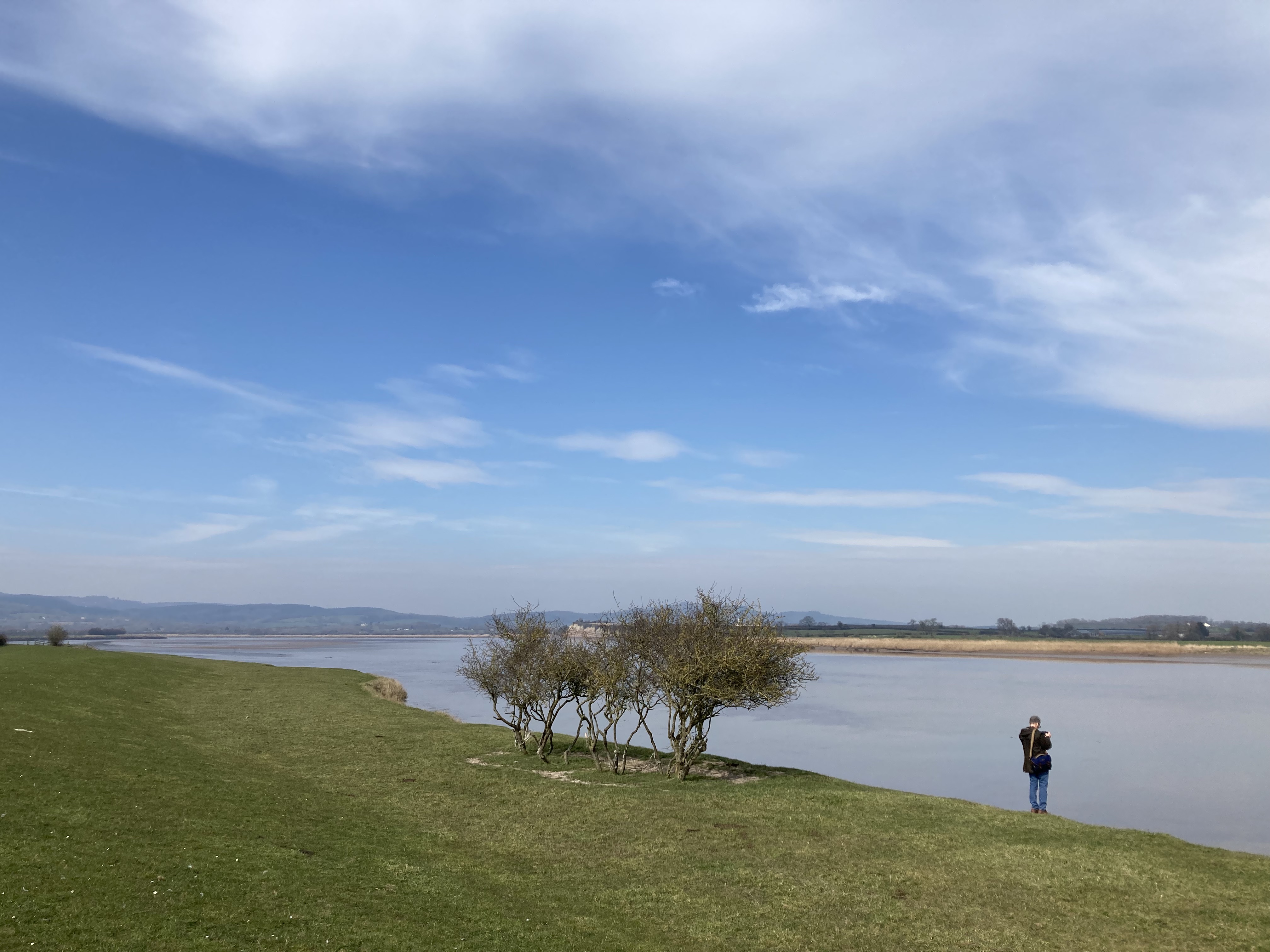 Gill by the River. – Paul Davies Cartoons & stuff