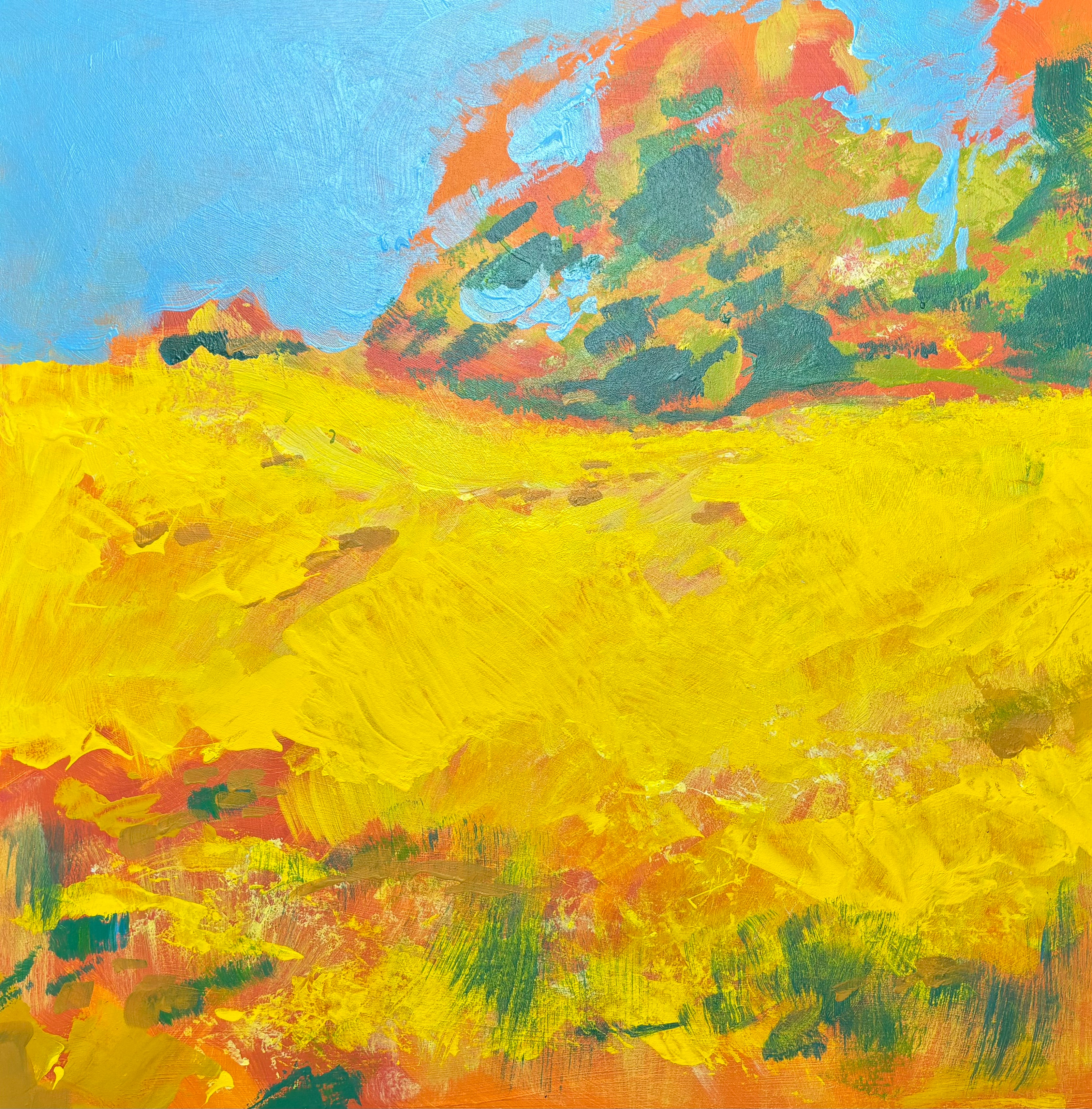 Mince Pie Review, and buttercups. – Paul Davies Cartoons & stuff