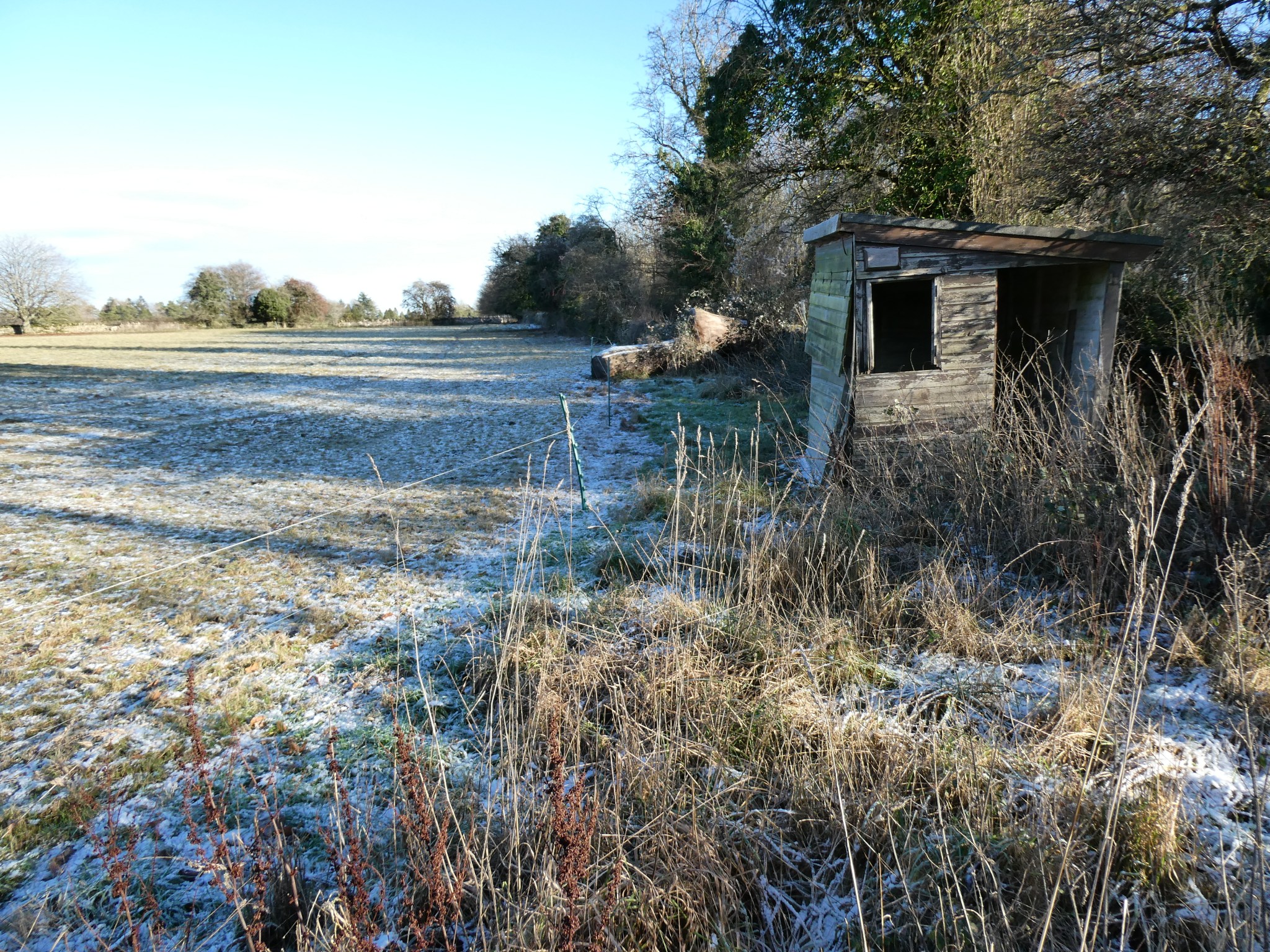 Batting at Number 3: The Dalai Lama – Paul Davies Cartoons & stuff